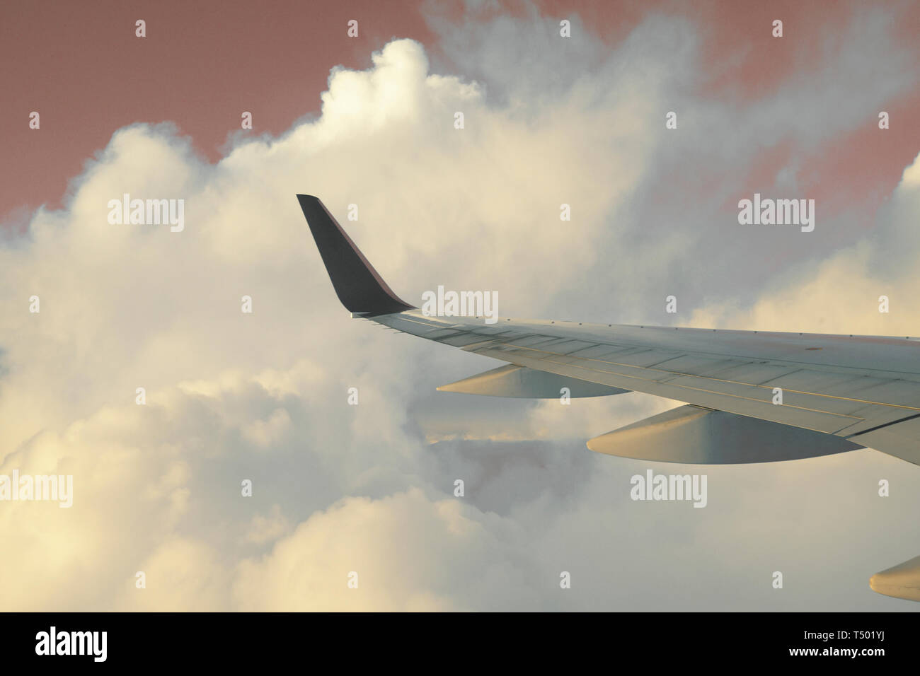 Aircraft wing tip hi-res stock photography and images - Alamy