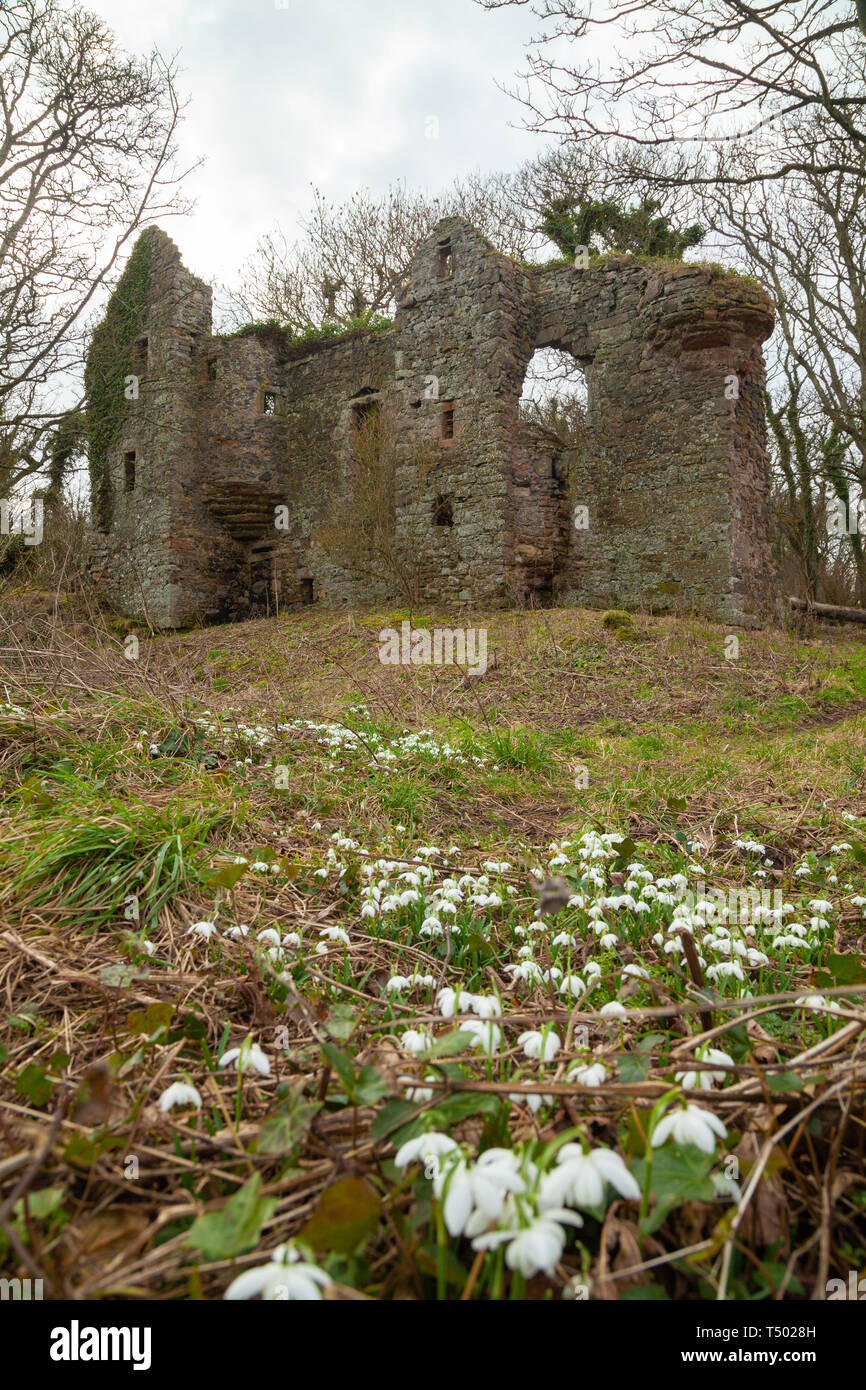Auldhame Castle is a tower house standing on a ridge above Seacliff ...