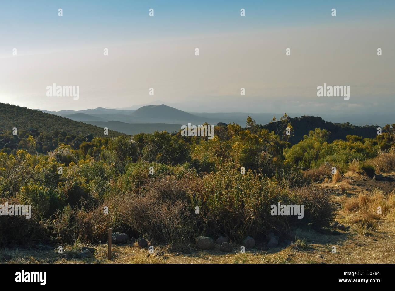 The high altitude moorland against a mountain background at Mount ...