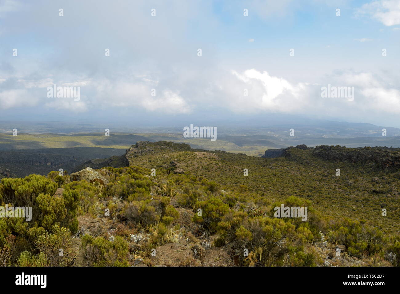 The high altitude moorland against a mountain background at Mount ...