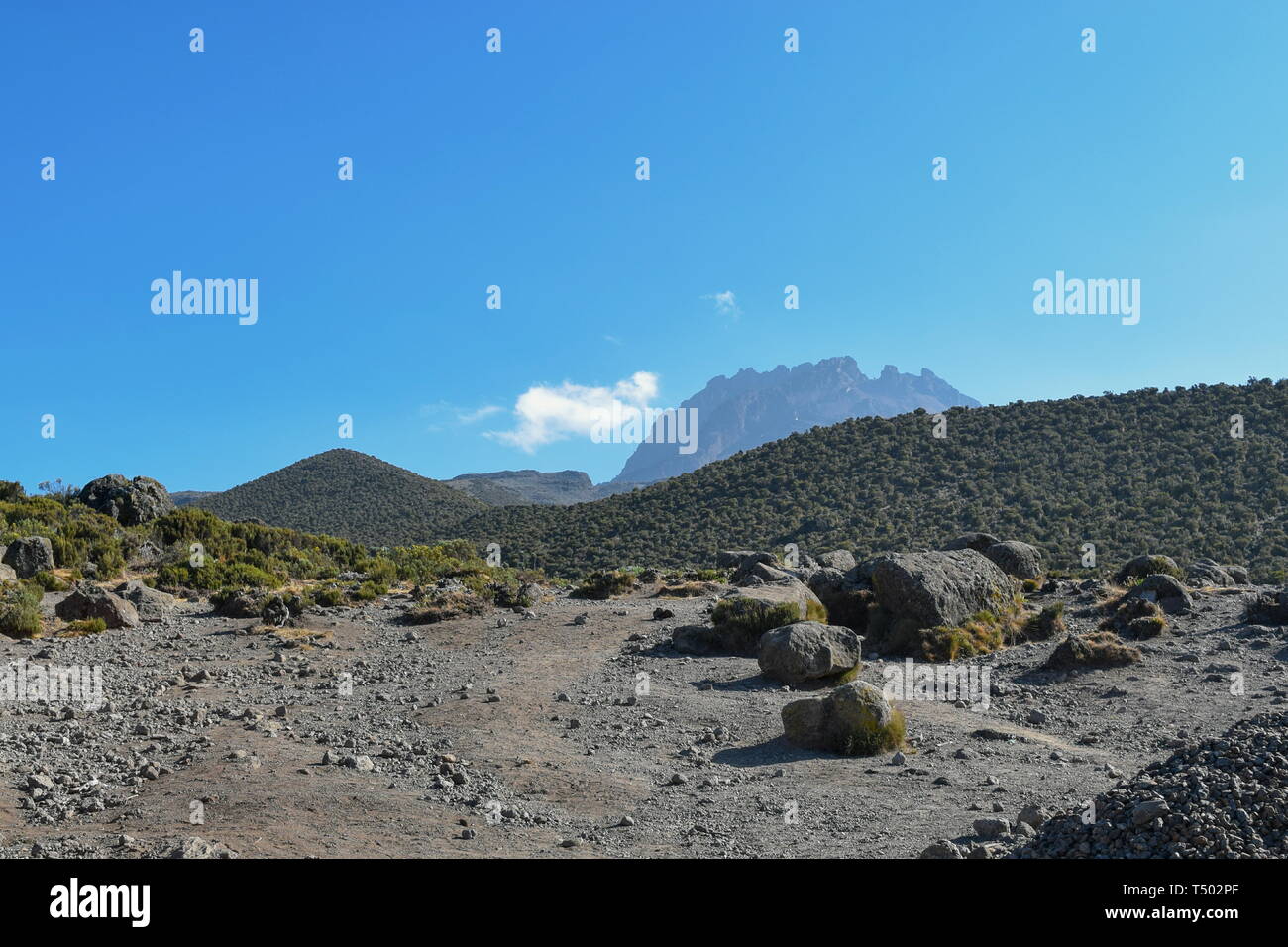 Mawenzi High Resolution Stock Photography and Images - Alamy