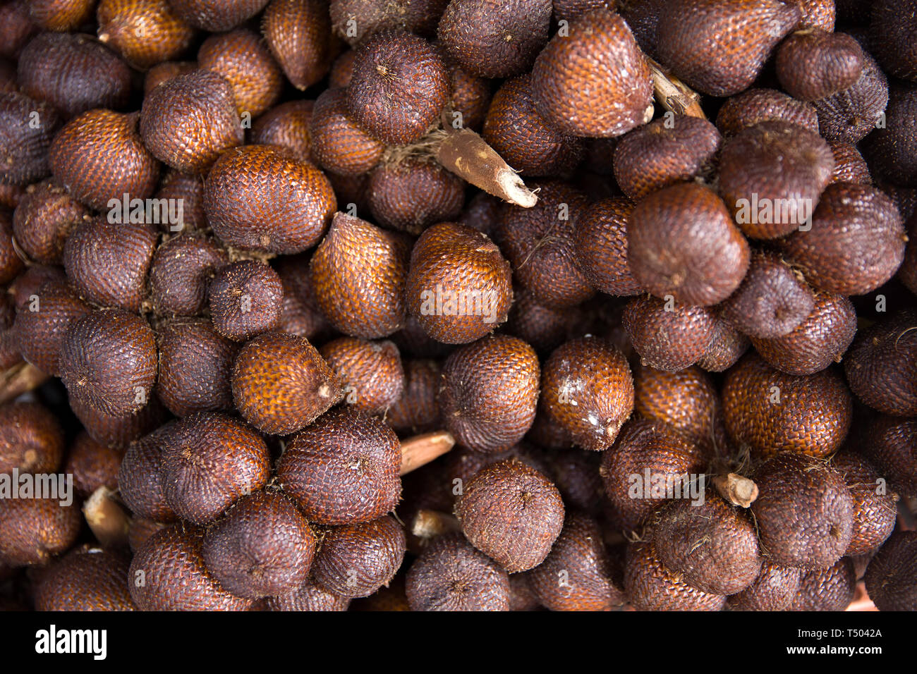 Bali salak fruit hi-res stock photography and images - Alamy