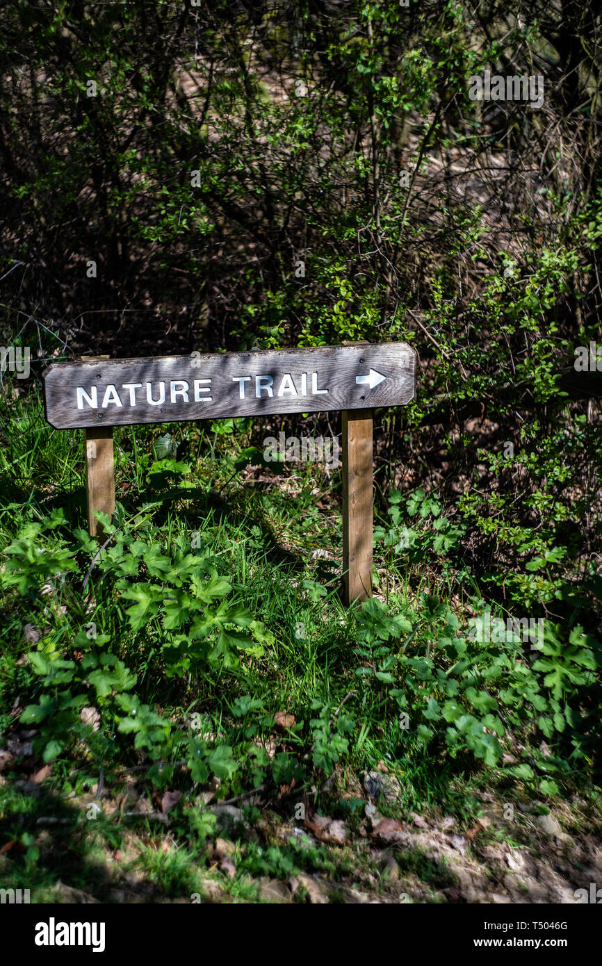 Wooden nature trail sign in a wood, Staffordshire, UK Stock Photo - Alamy