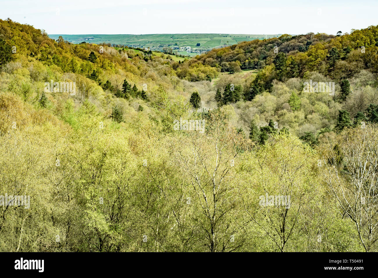 Coombes valley rspb reserve hi-res stock photography and images - Alamy
