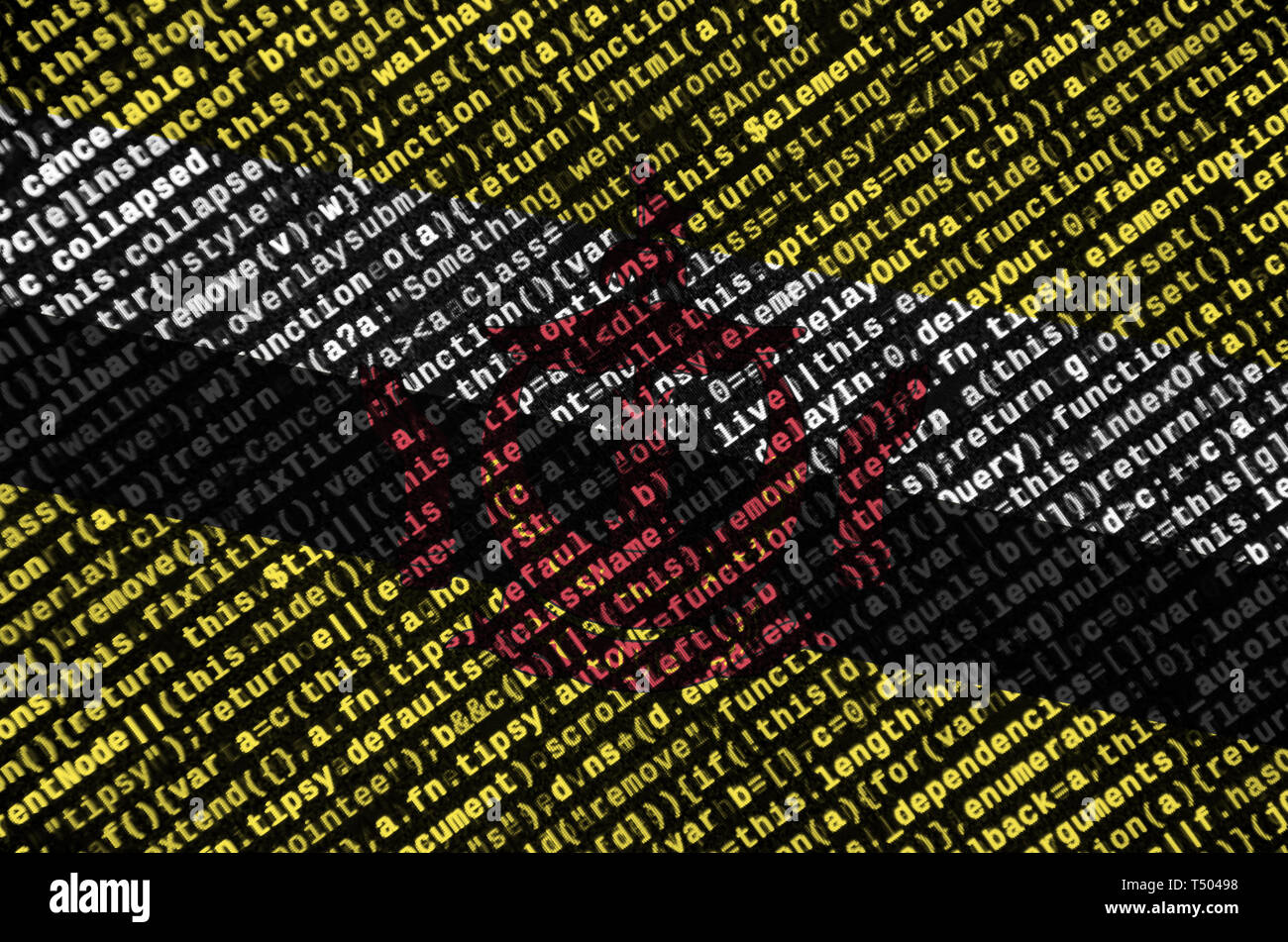 Brunei Darussalam flag is depicted on the screen with the program code ...