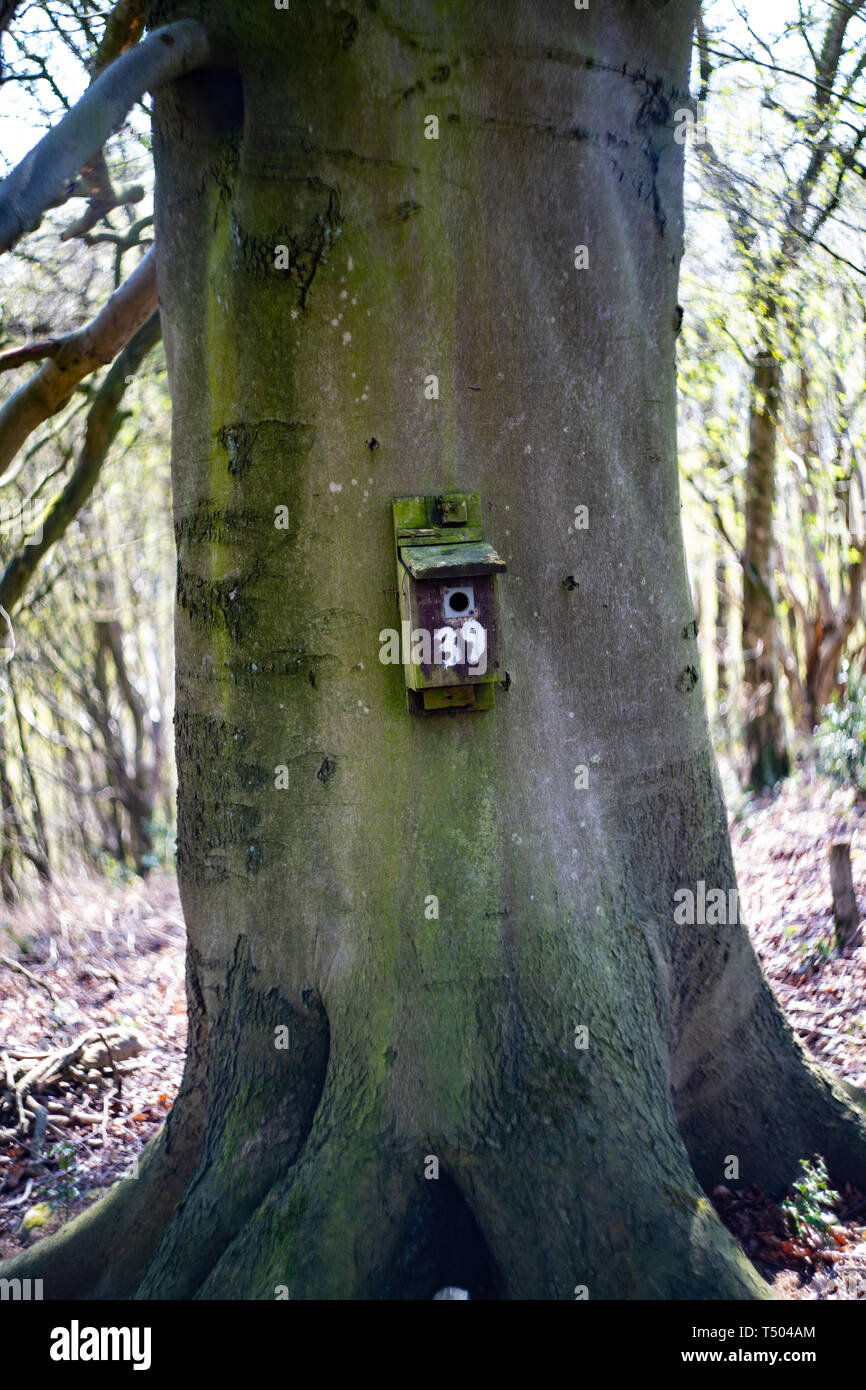 Rspb nest box hi-res stock photography and images - Alamy