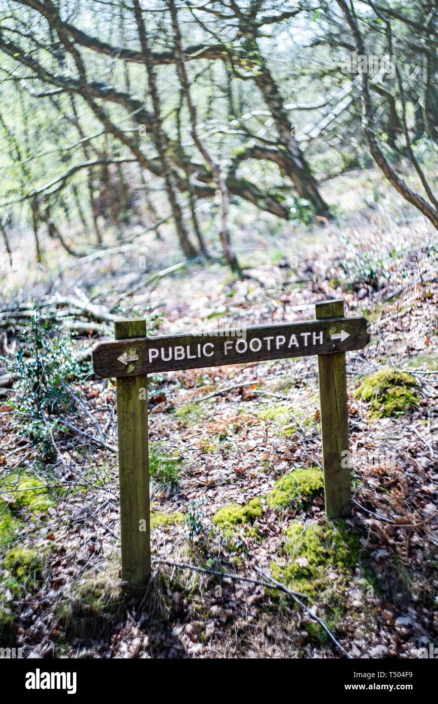 Wooden public footpath sign in a wood, Staffordshire, UK Stock Photo ...