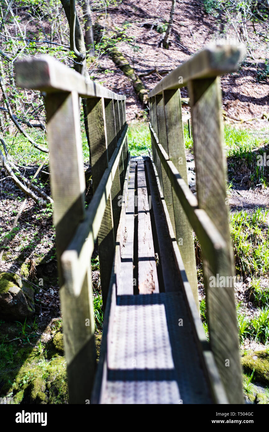 Very narrow wooden footbridge across a stream, Coombes valley ...