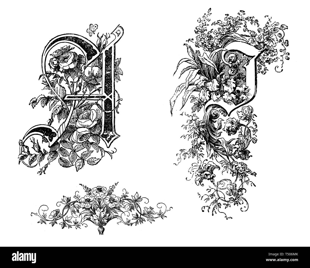 Ornate capital letters hi-res stock photography and images - Alamy