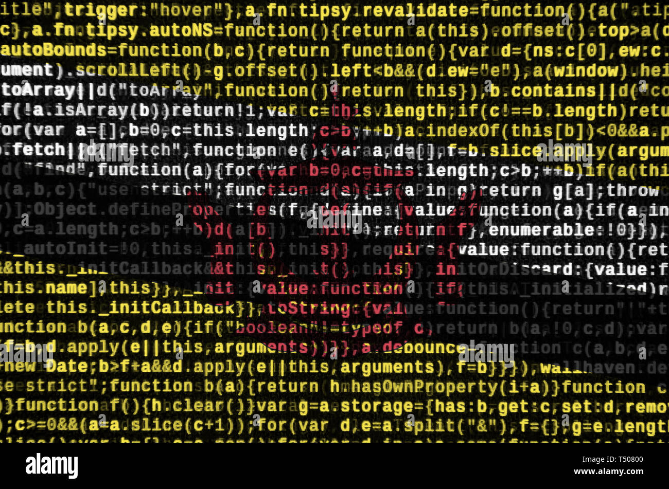 Brunei Darussalam flag is depicted on the screen with the program code ...
