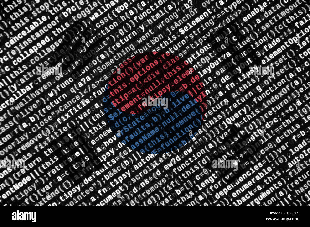 South Korea flag is depicted on the screen with the program code. The ...