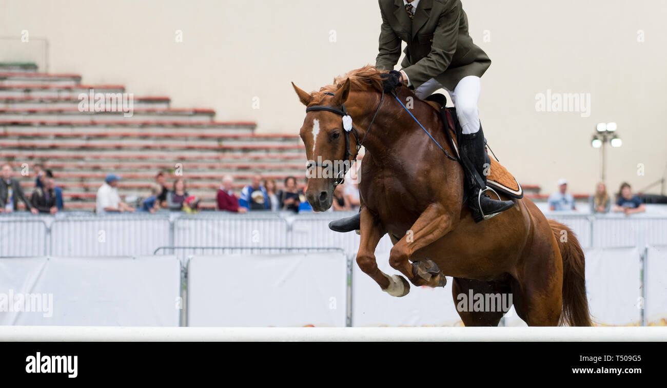 Horse jumping hi-res stock photography and images - Alamy