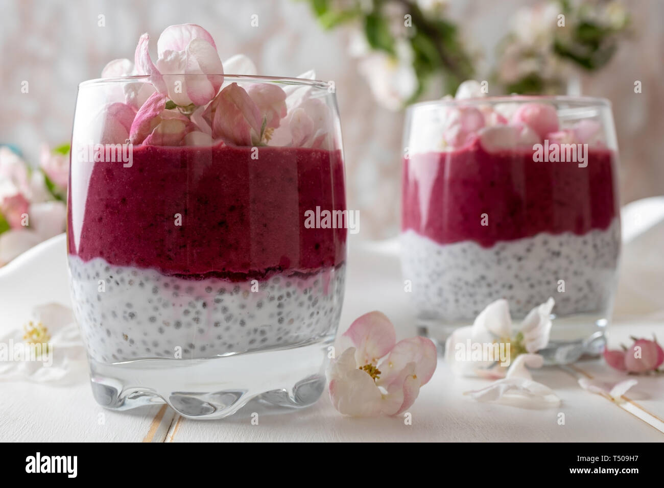 Layered chia pudding with yogurt, blueberries and apple blossoms Stock ...
