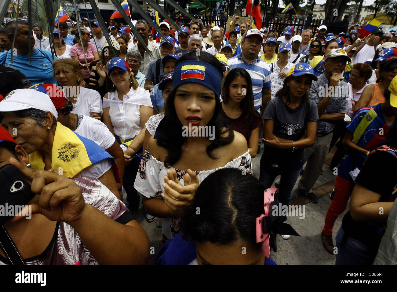 Rosa de venezuela hi-res stock photography and images - Alamy