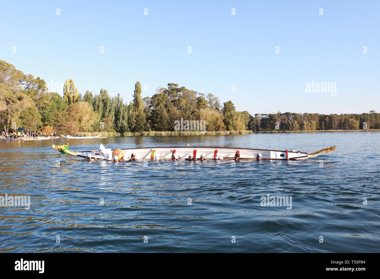 Australian dragon boat hi-res stock photography and images - Alamy