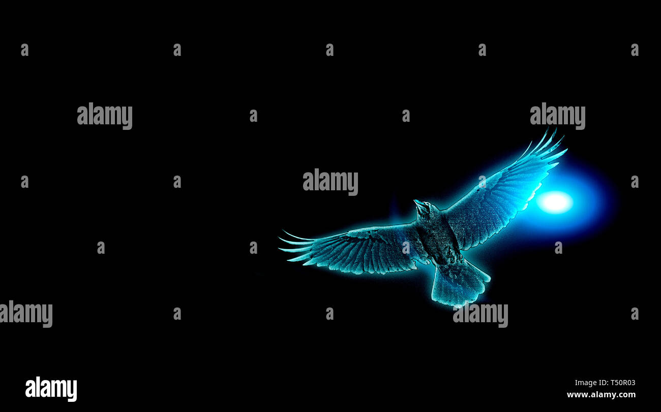 Magical flying raven. Blue moonlight. Darkness mysterious glow ...