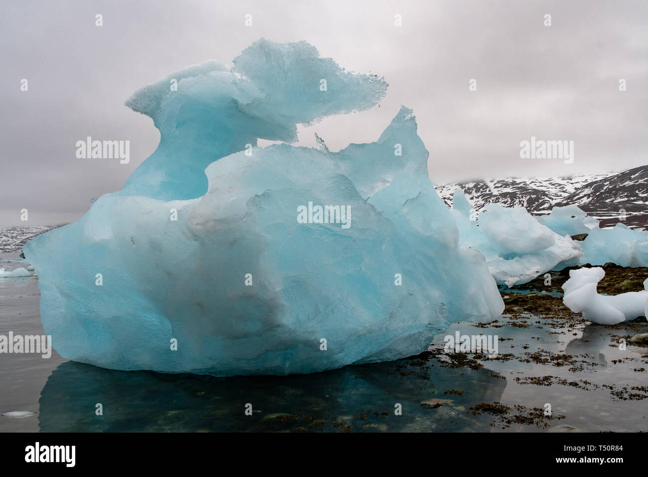 Ice formation carved by wind and rain in the coastal waters of western ...