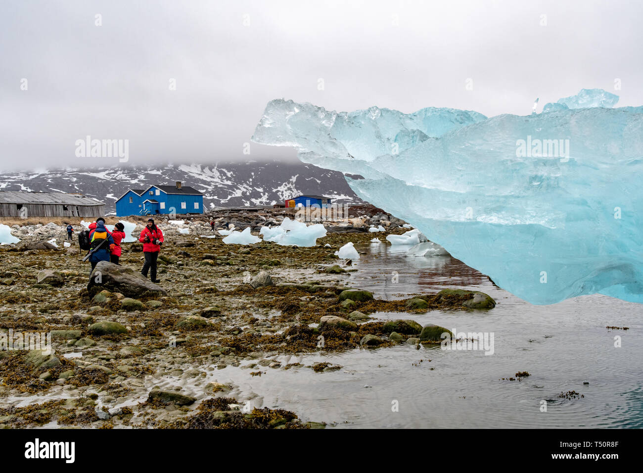 Ice formation carved by wind and rain in the coastal waters of western ...