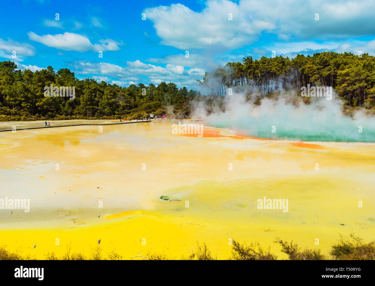 Geothermal pools in Wai-O-Tapu park, Rotorua, New Zealand. Copy space ...