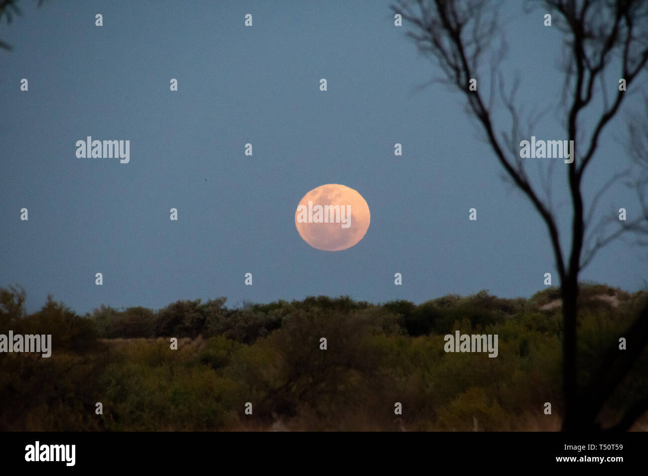 Moon rising over the horizon in Exmouth Australia during blue hour ...