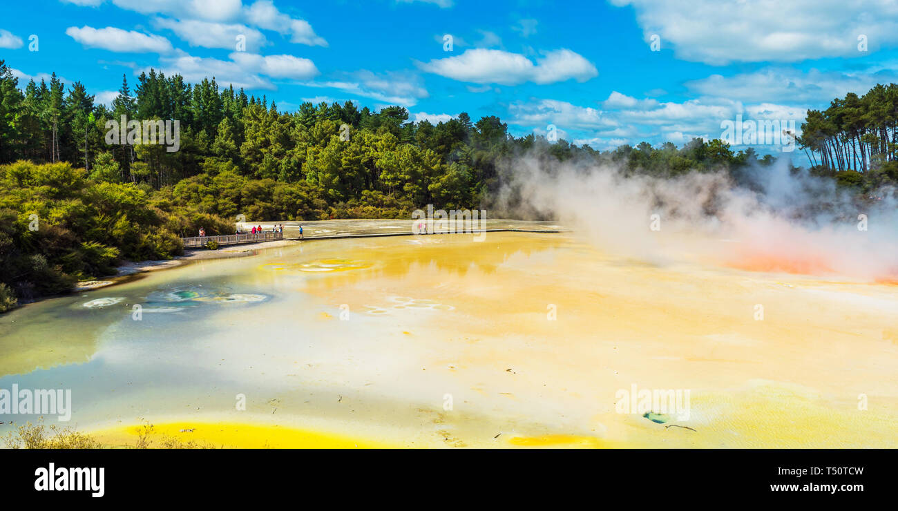Geothermal pools in Wai-O-Tapu park, Rotorua, New Zealand. Copy space ...