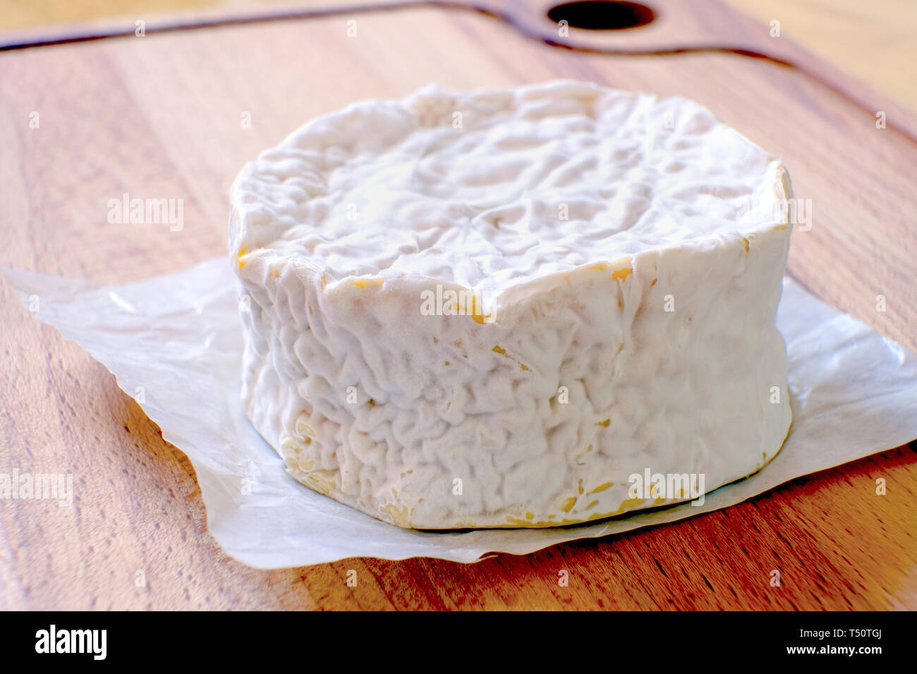 Camembert cheese with mold. Cheese is good for health and digestion ...
