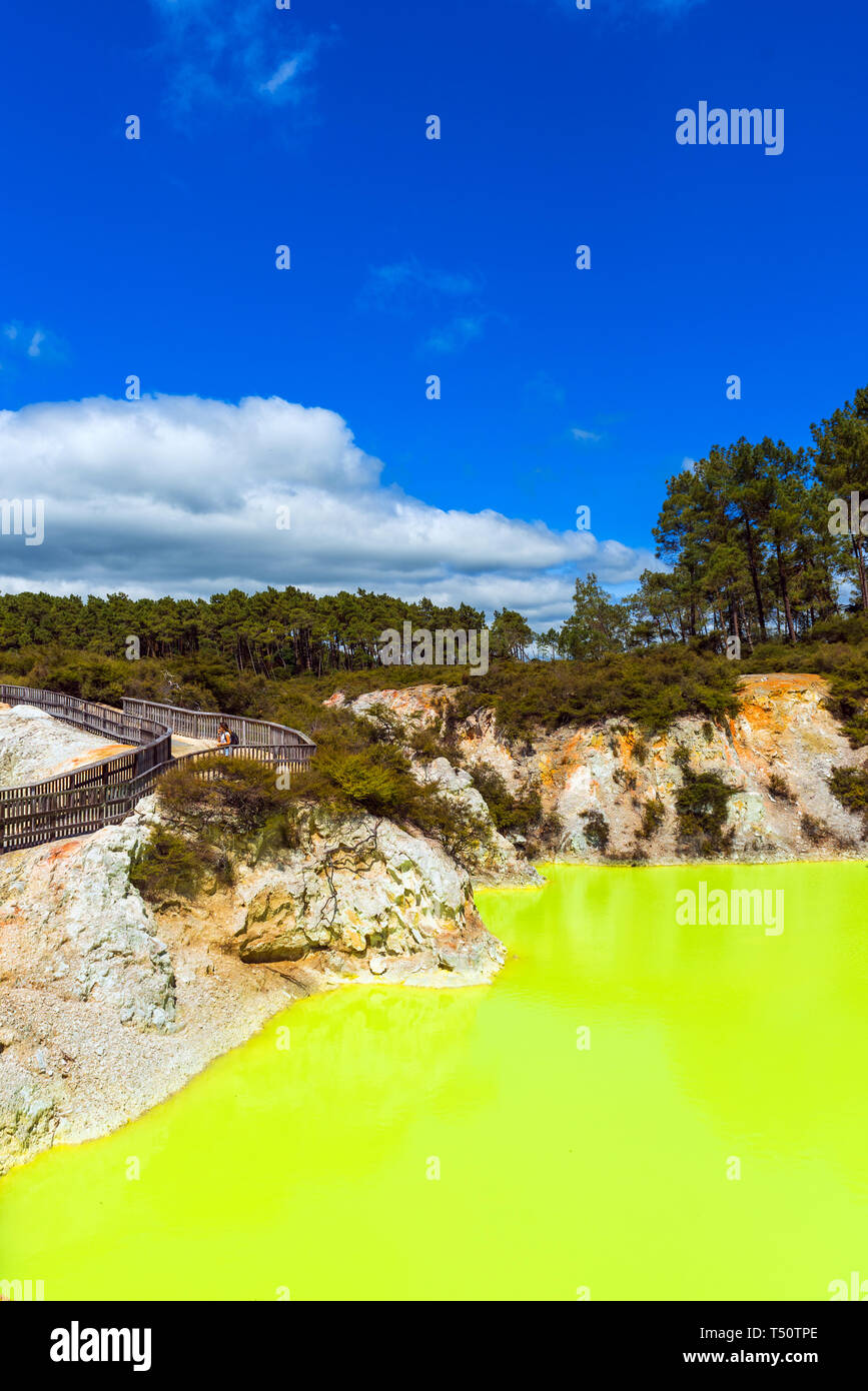 Water pond, made yellow by sulfur in Wai-O-Tapu Geothermal Wonderland ...
