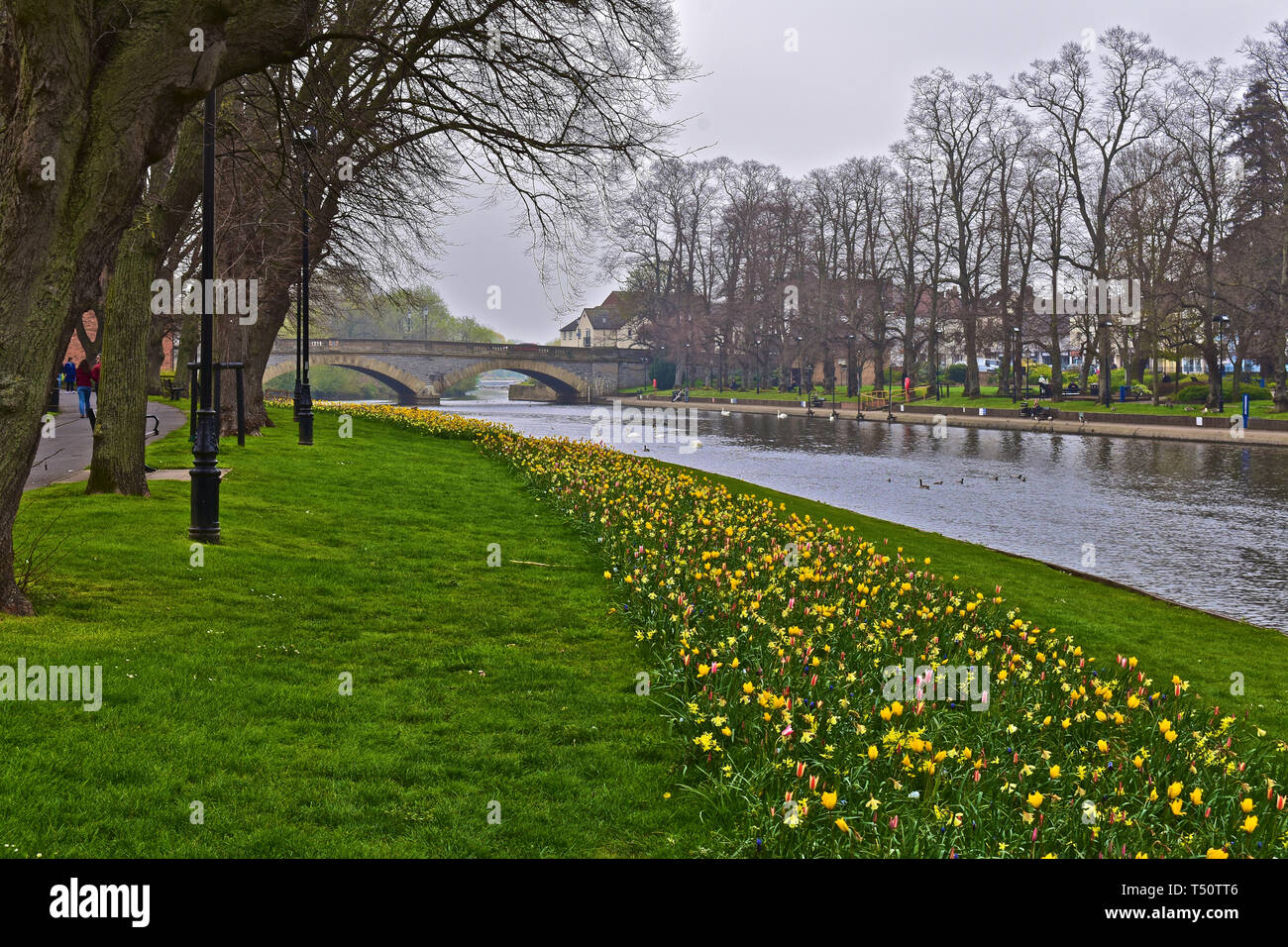 View along the river Avon where it passes by the town centre of Evesham ...