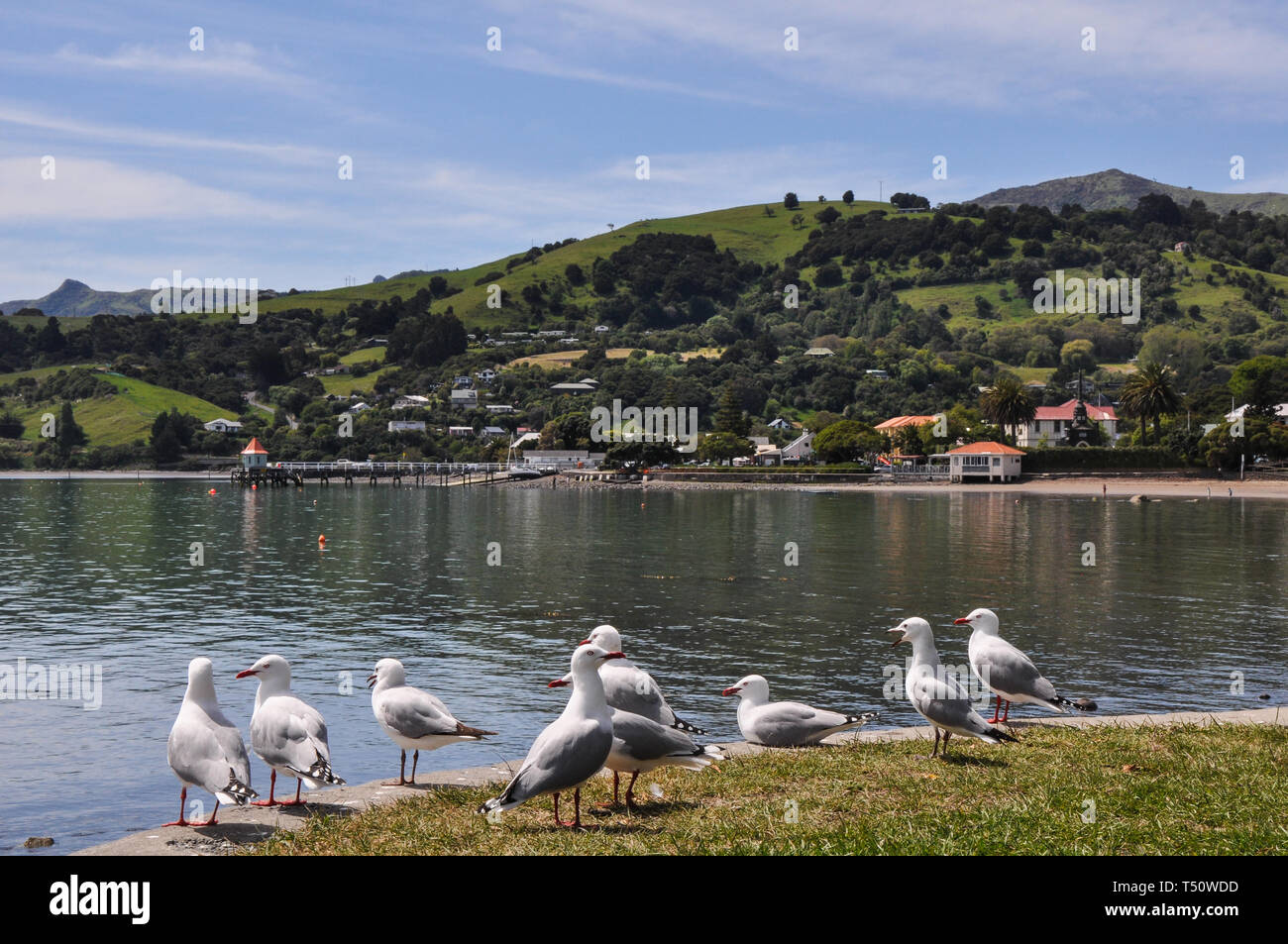 Taieri plains hi-res stock photography and images - Alamy