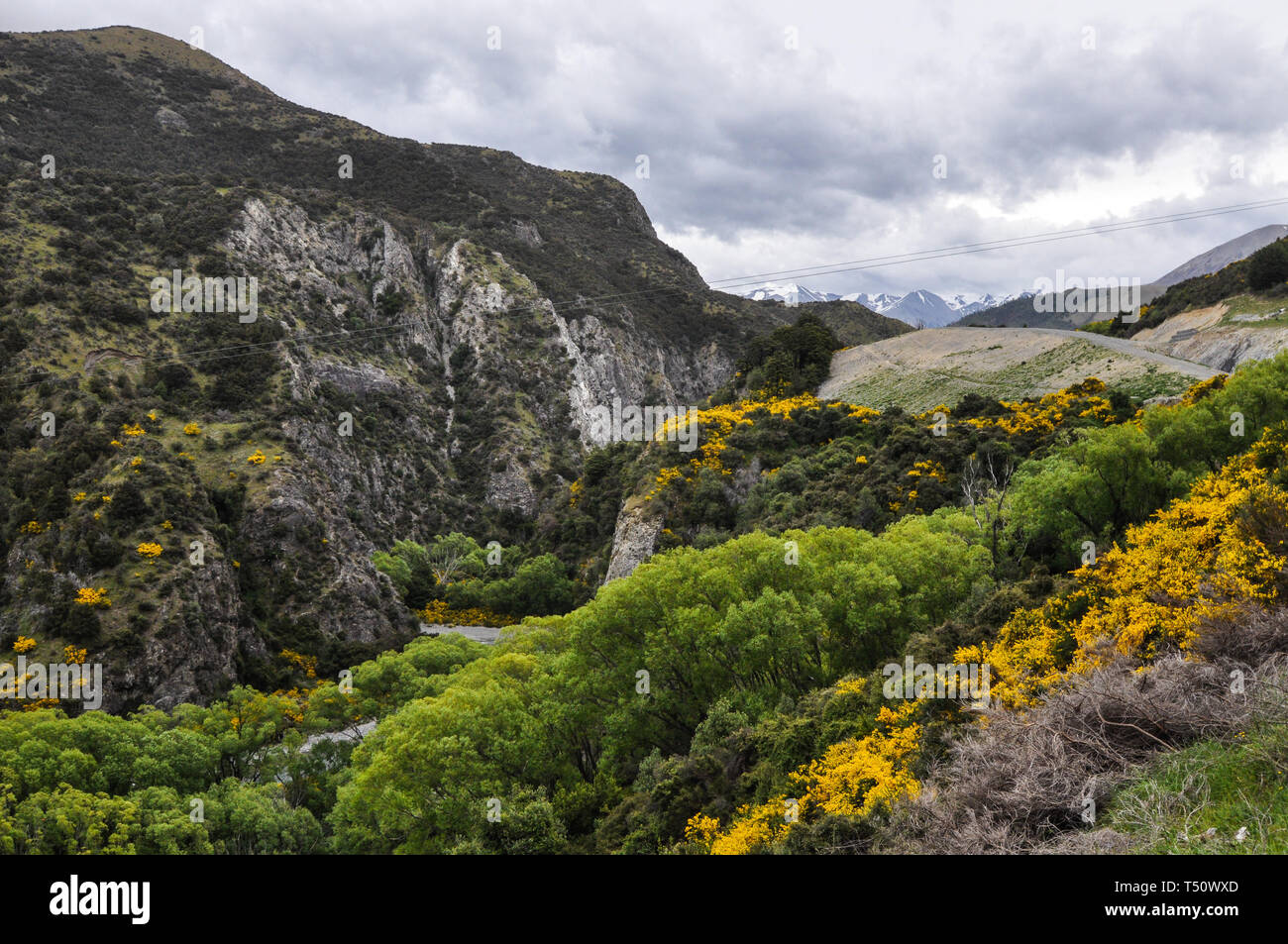Taieri plains hi-res stock photography and images - Alamy