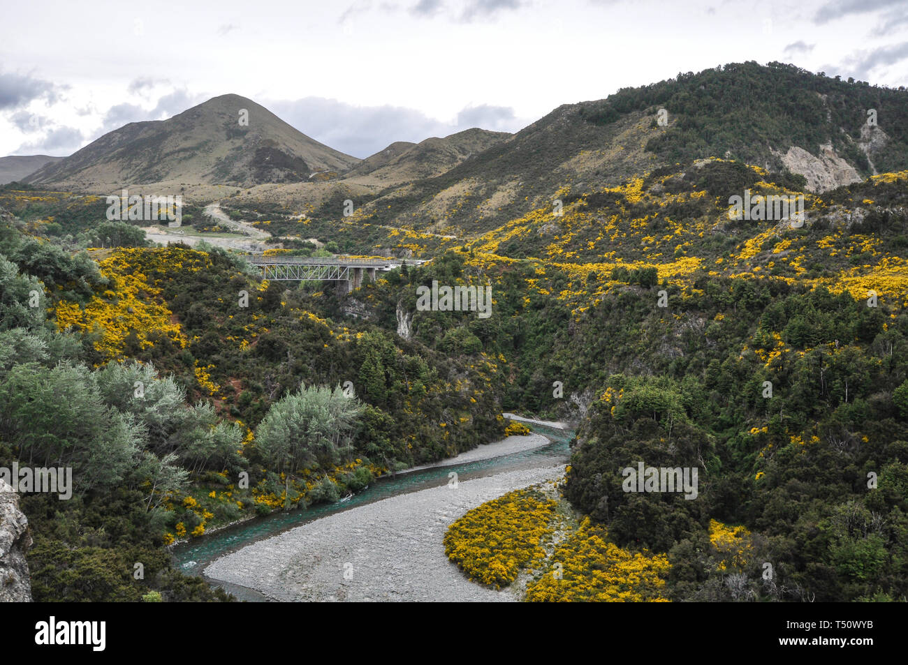 Taieri plains hi-res stock photography and images - Alamy