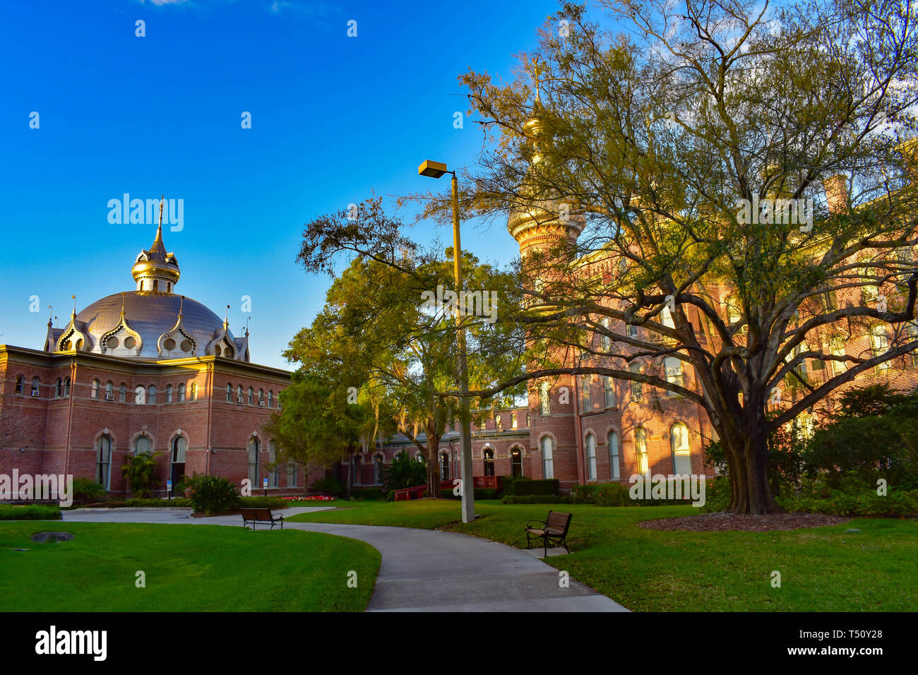 Tampa Bay, Florida. March 02, 2019 Interior gardens and big tree at ...