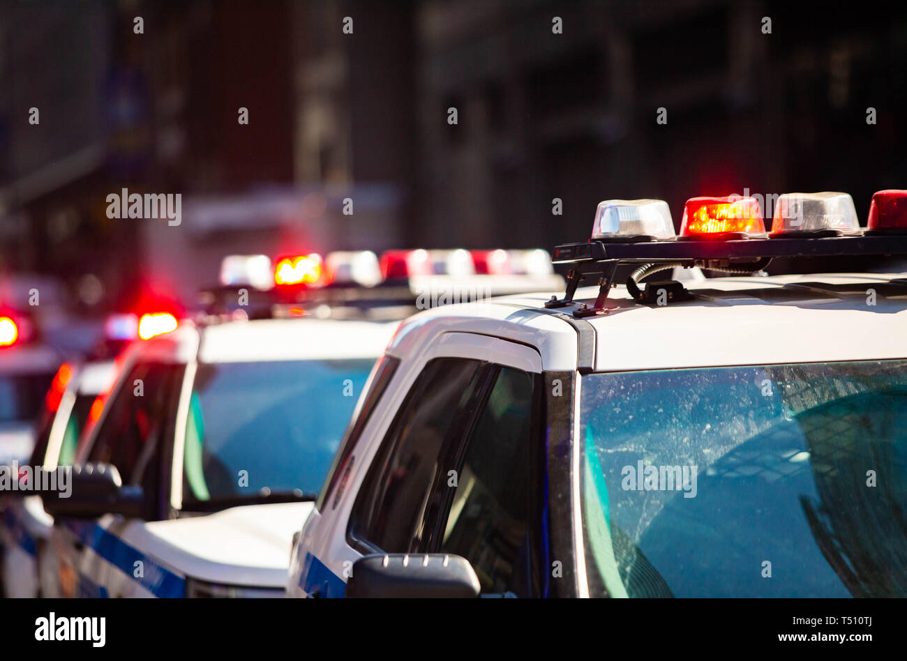 New York NYPD Police car with sirens at day on street Stock Photo - Alamy