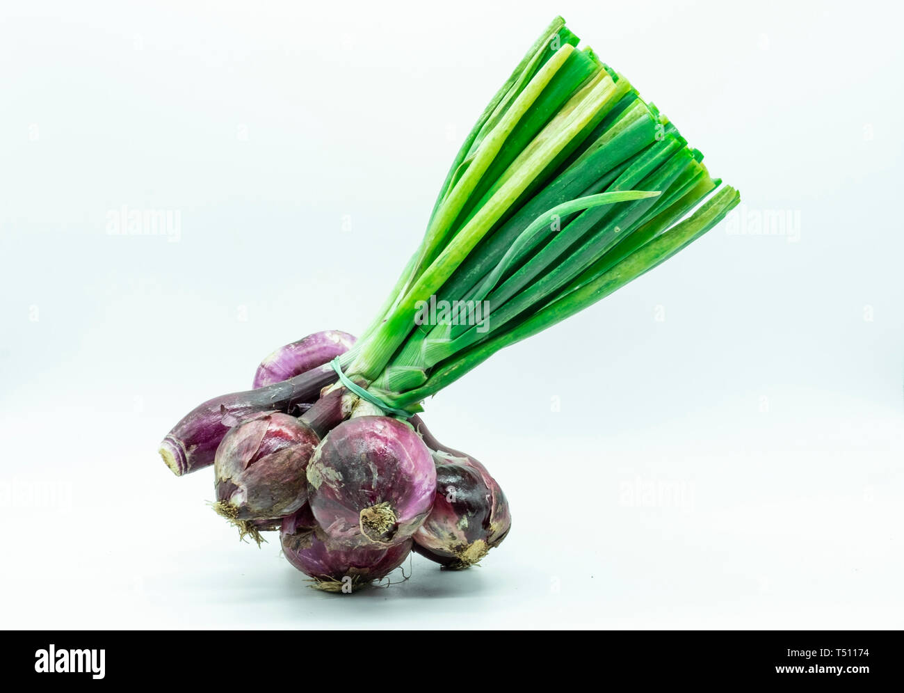 isolated onion of tropea italy.good Stock Photo - Alamy