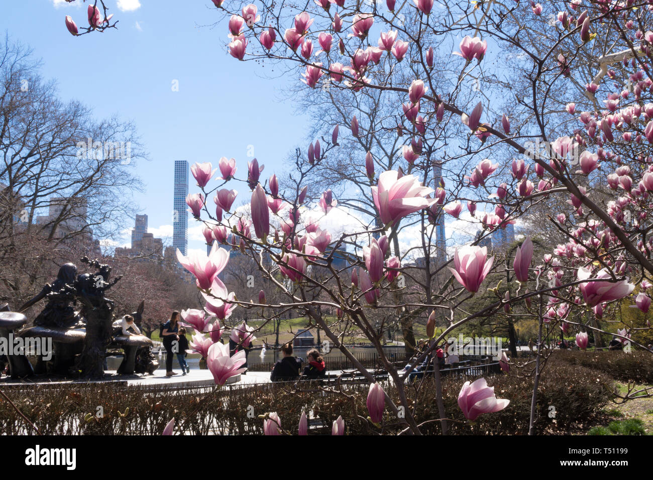 Central Park is beautiful in the springtime, NYC, USA Stock Photo - Alamy