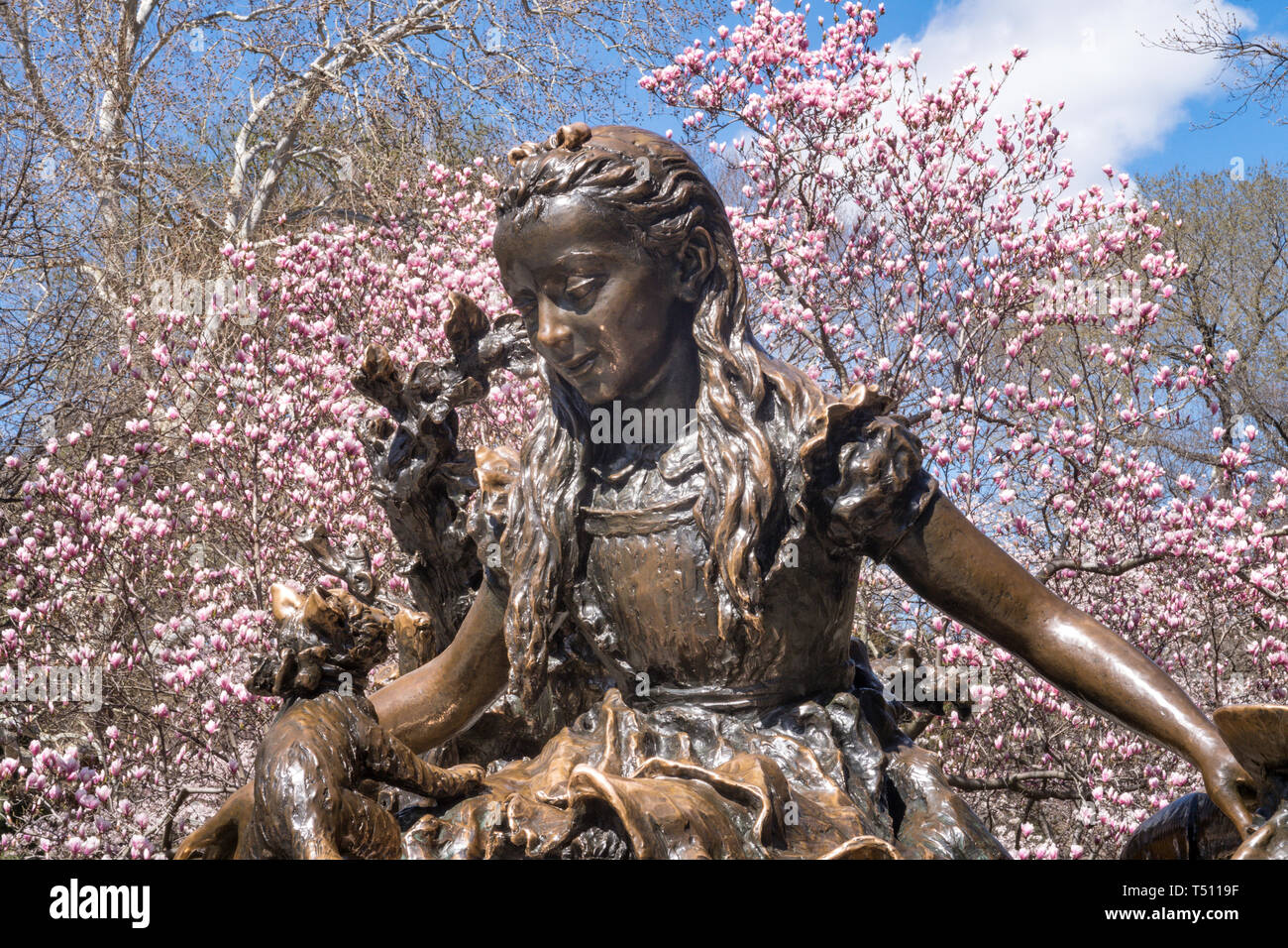 Alice in Wonderland Sculpture is framed by spring trees, Central Park ...