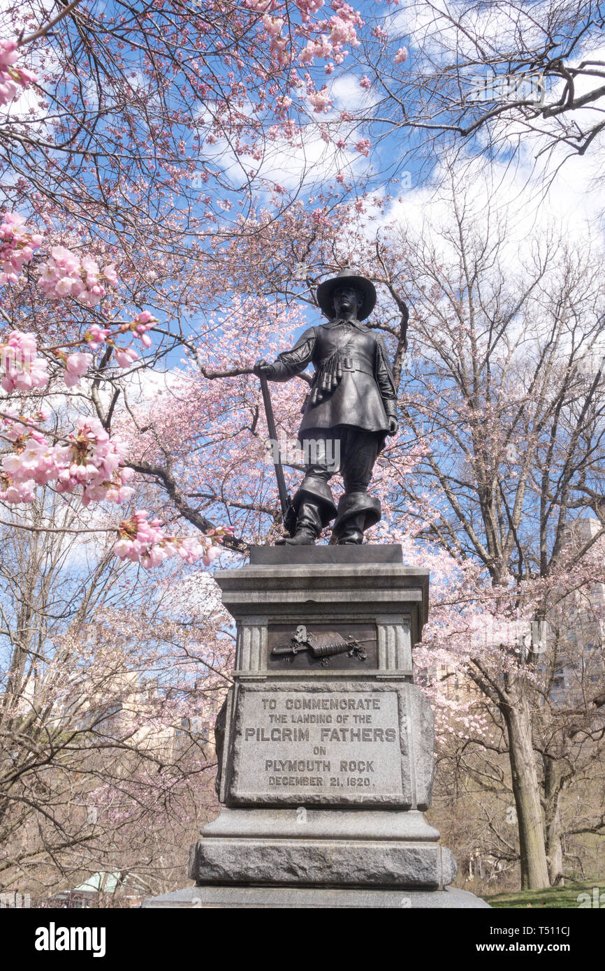 The Pilgrim Statue, Pilgrim Hill, Central Park, NYC Stock Photo - Alamy
