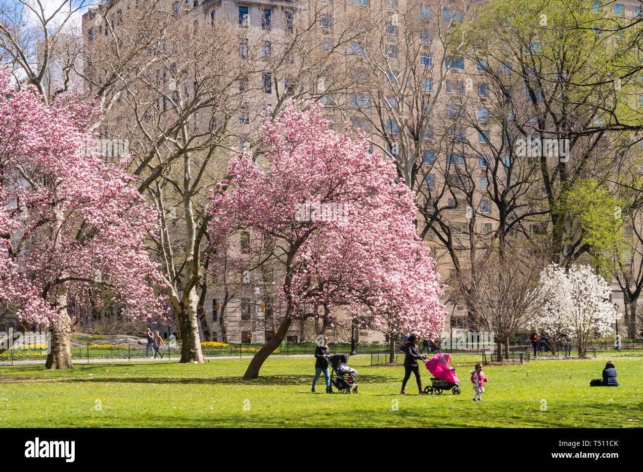 Central Park is beautiful in the springtime, NYC, USA Stock Photo - Alamy