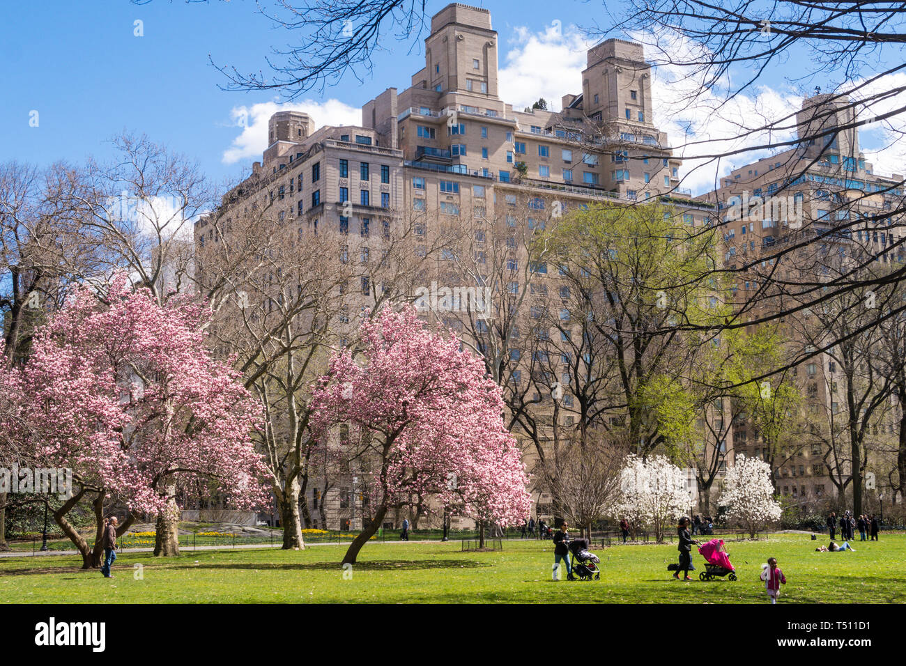 Central Park is beautiful in the springtime, NYC, USA Stock Photo - Alamy