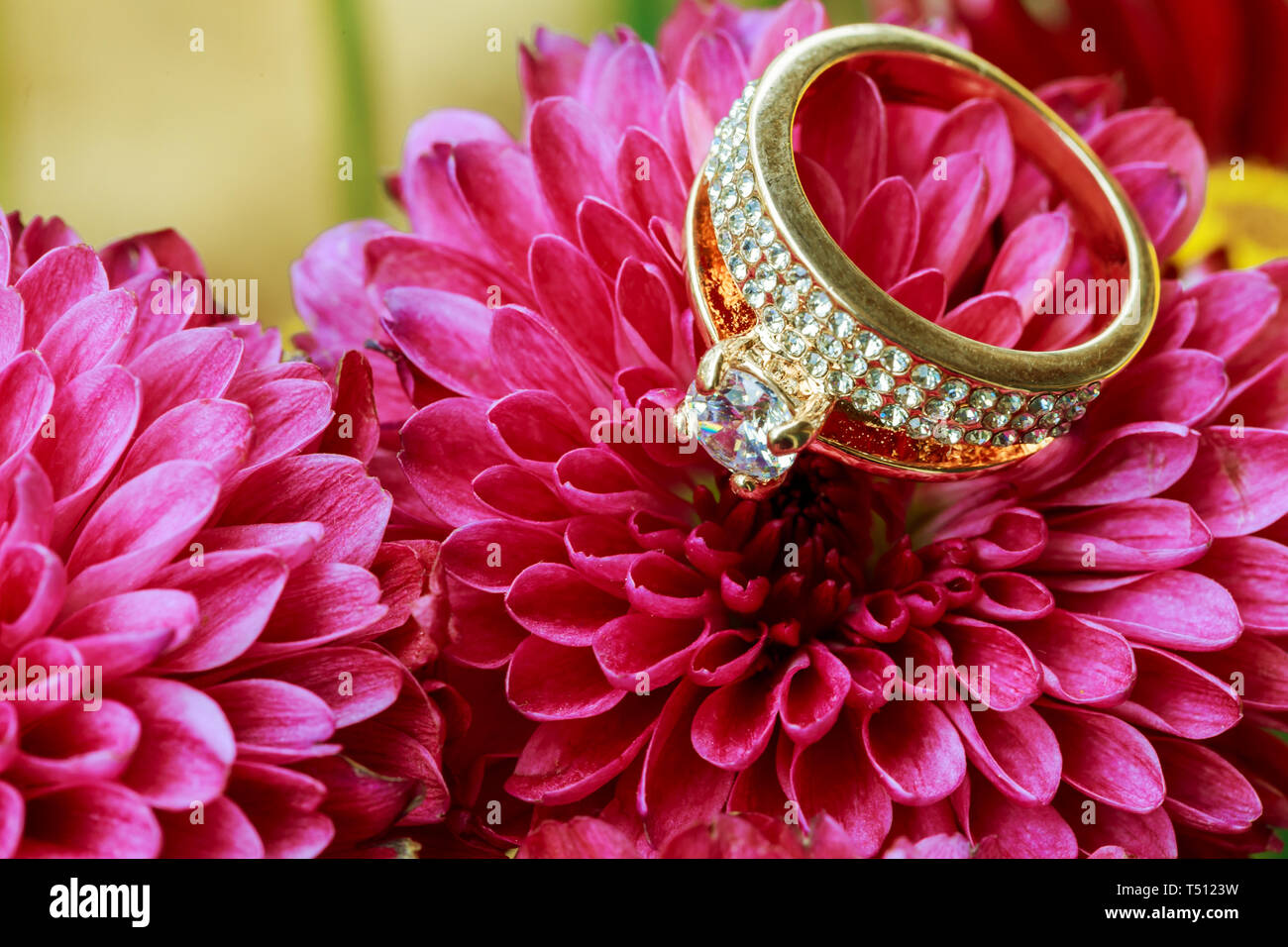 Wedding rings in pearl hi-res stock photography and images - Alamy