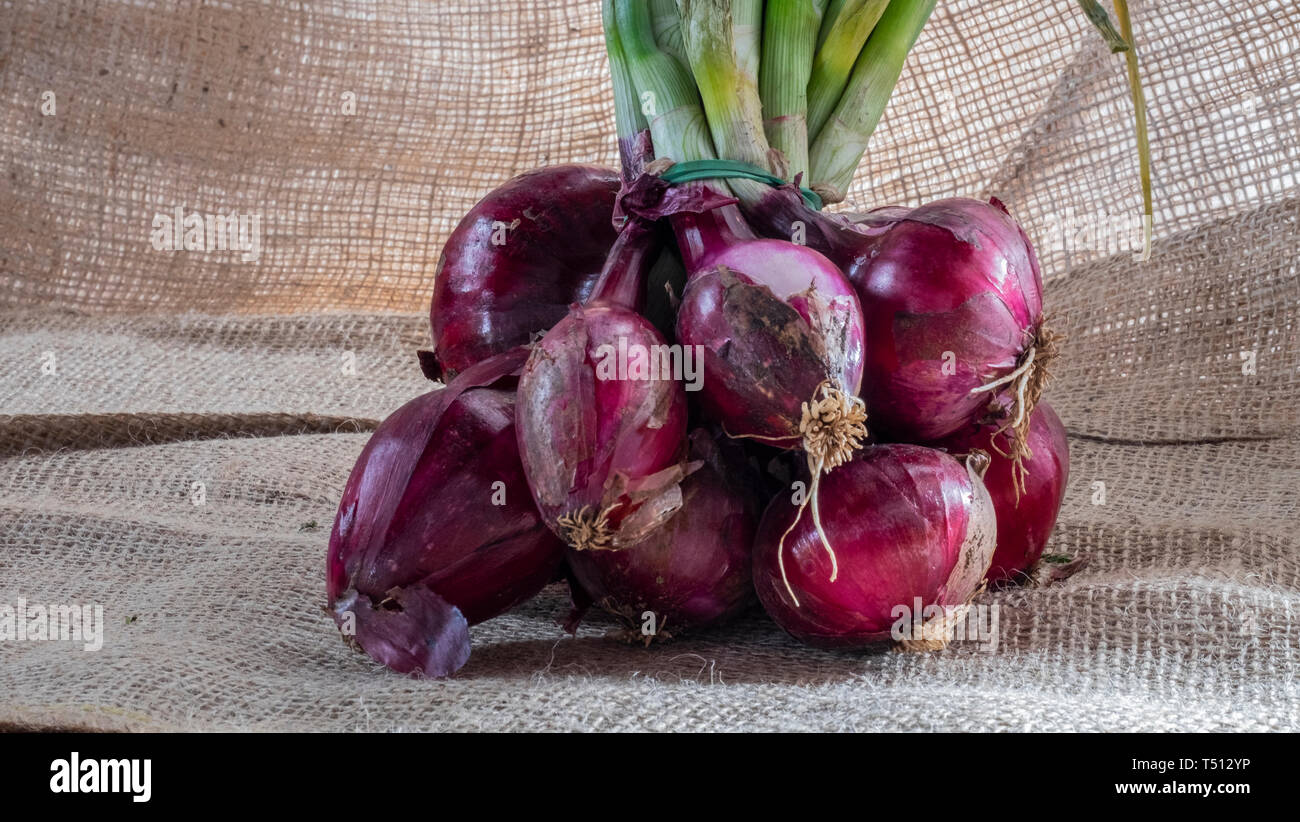 Tropea Onions Italy High Resolution Stock Photography and Images - Alamy
