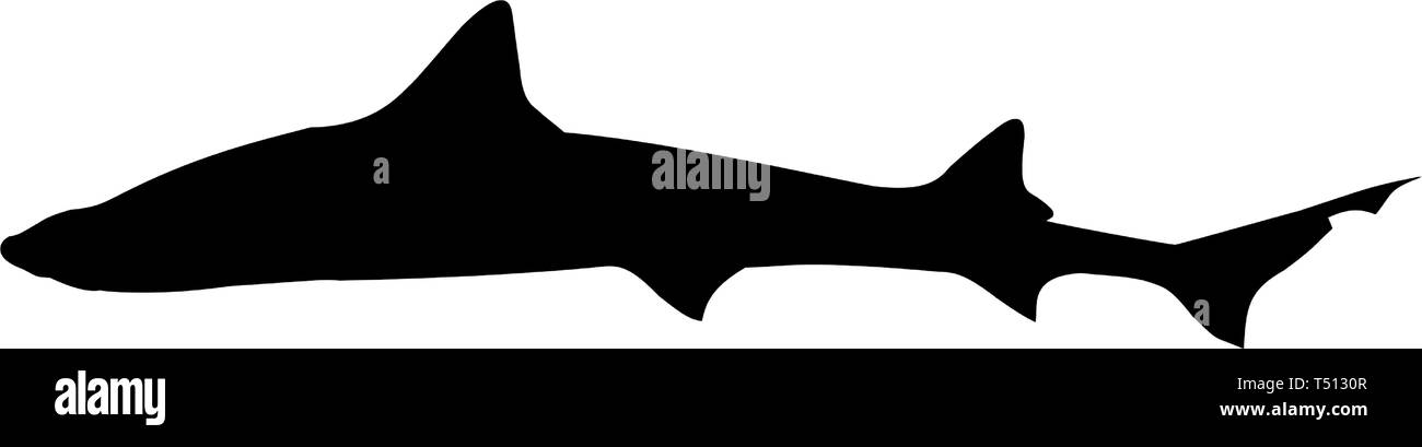 Vector Shark Shape in black Stock Vector Image & Art - Alamy