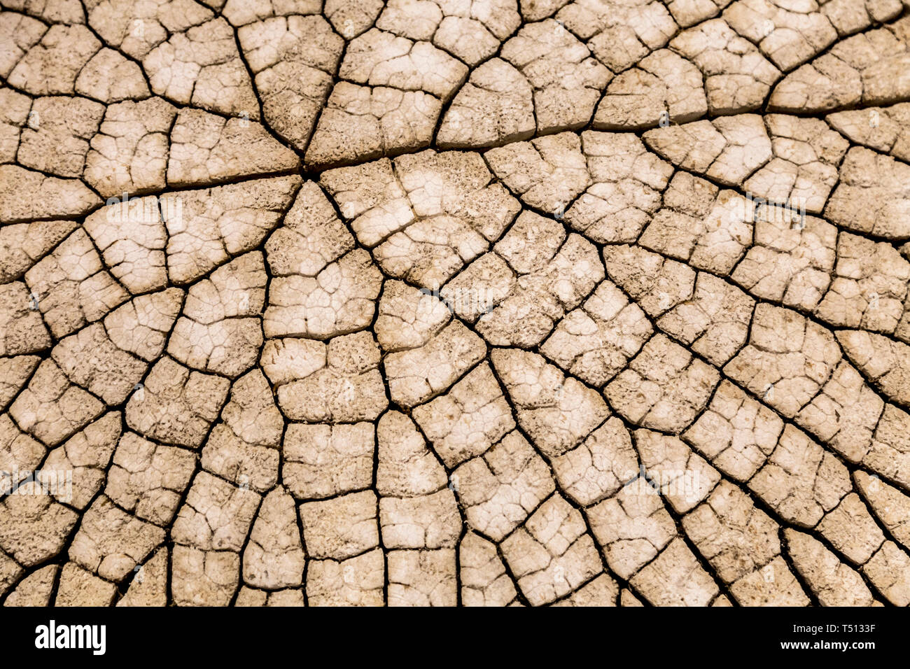 Cracked surface background Stock Photo - Alamy