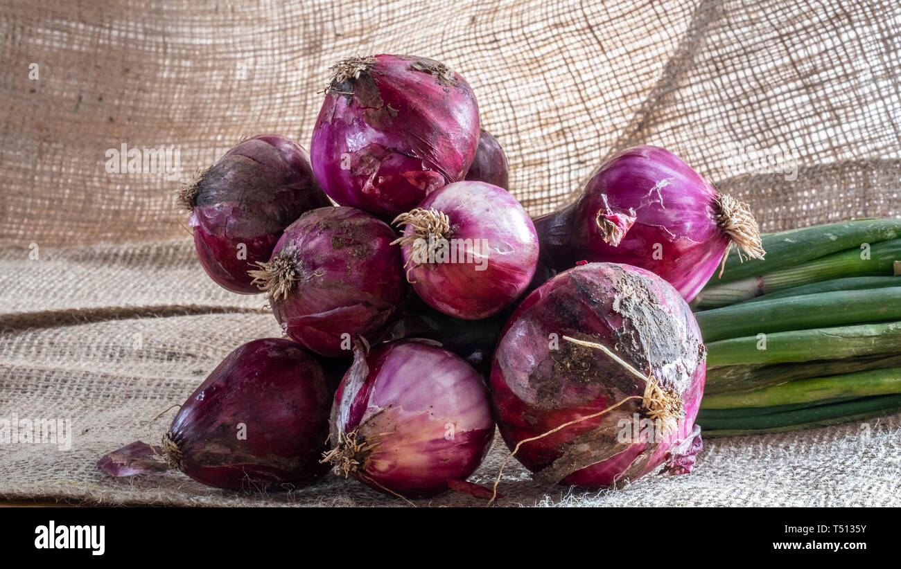 Tropea onions italy hi-res stock photography and images - Alamy
