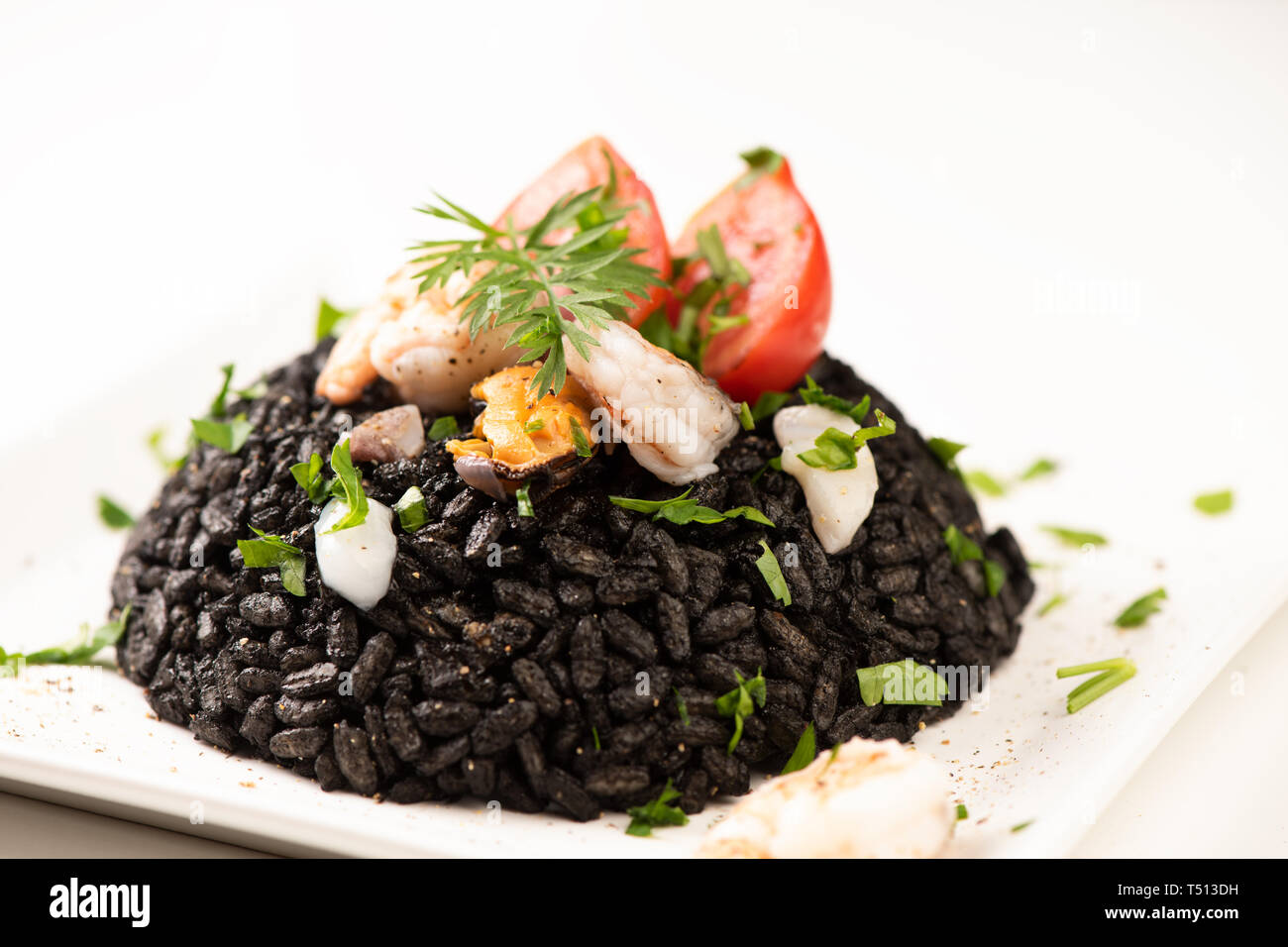 Elegant cuttlefish hi-res stock photography and images - Alamy