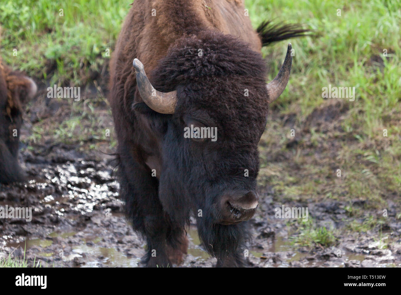 Distorted face wind hi-res stock photography and images - Alamy