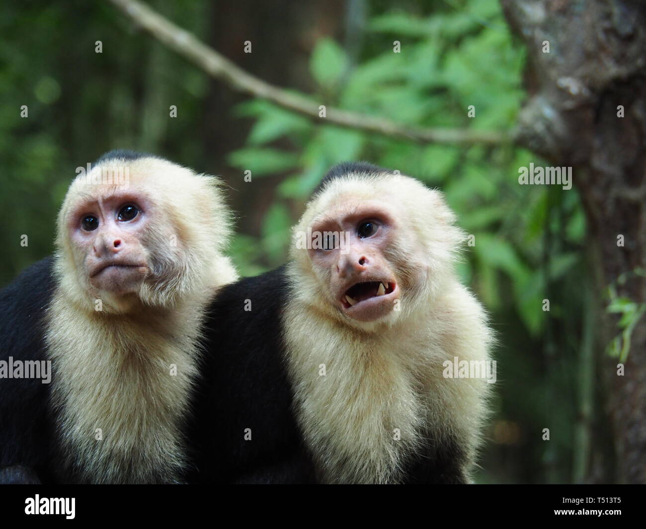 Faces of costa rica hi-res stock photography and images - Alamy