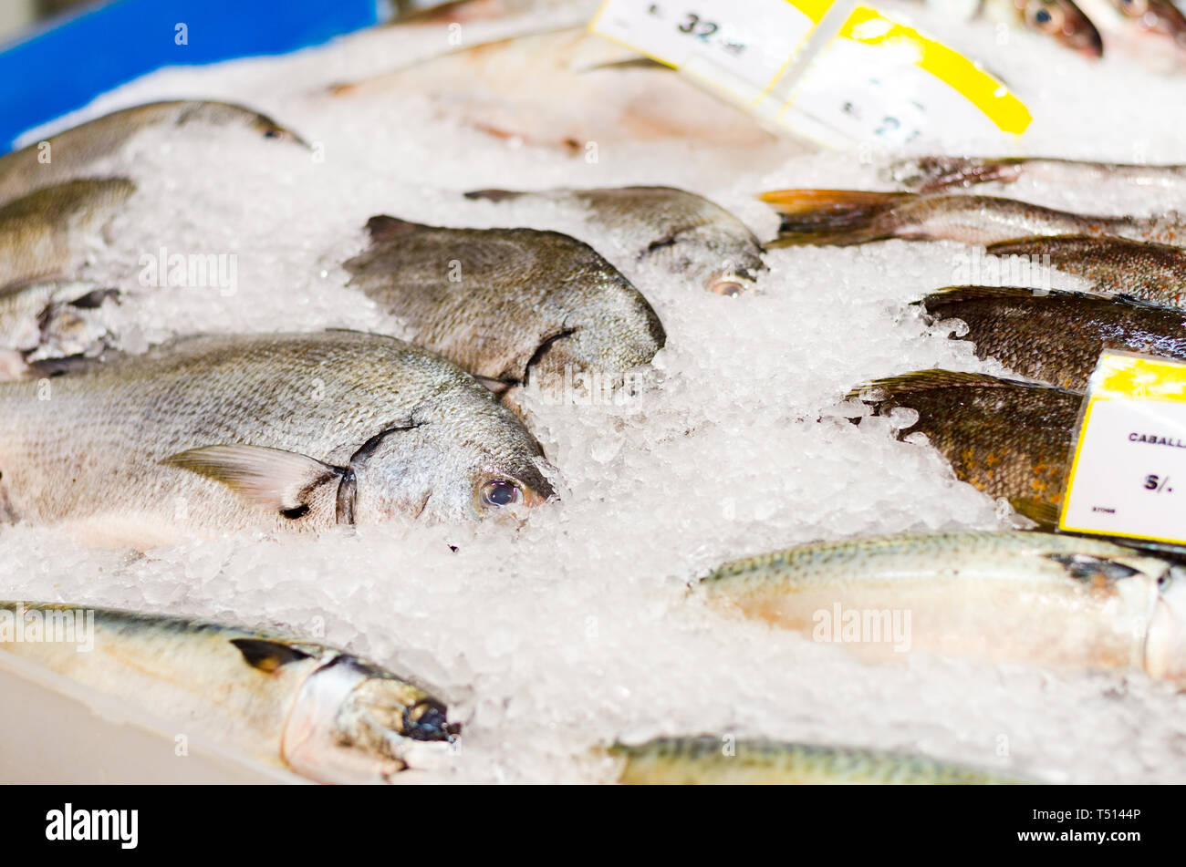 Closeup of seafood eye hi-res stock photography and images - Alamy