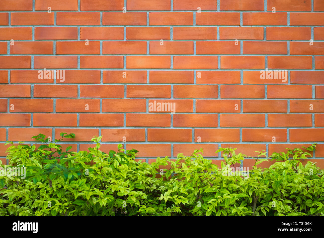 Red brick wall fragment background, texture. or brick layer building ...