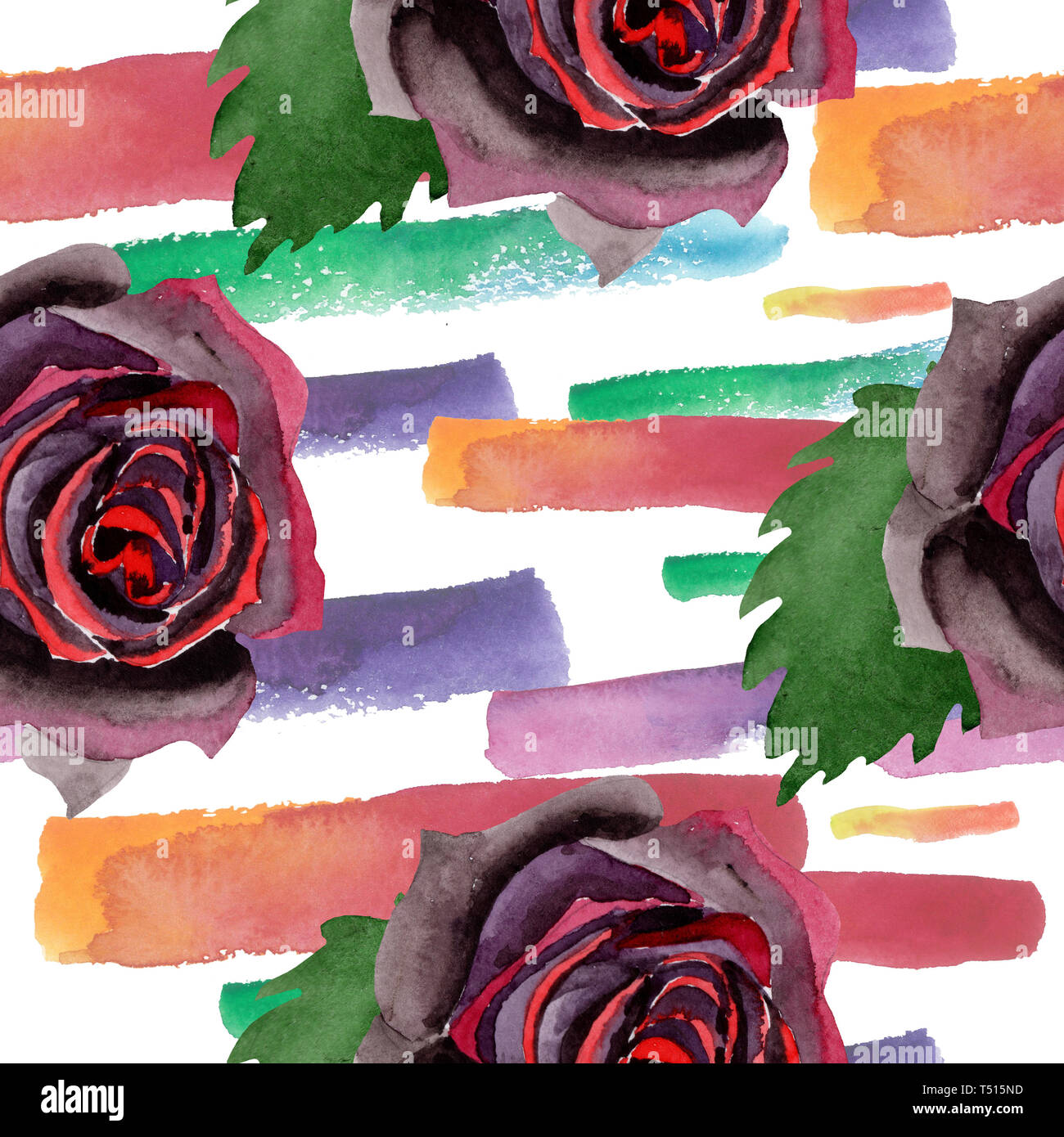 Black rose floral botanical flowers. Watercolor background illustration ...